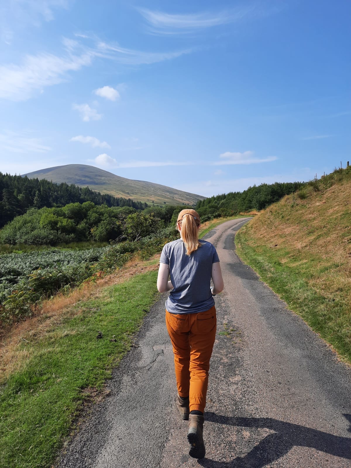 The Highest Mountain in Northumberland: The Cheviot | Walking Route ...