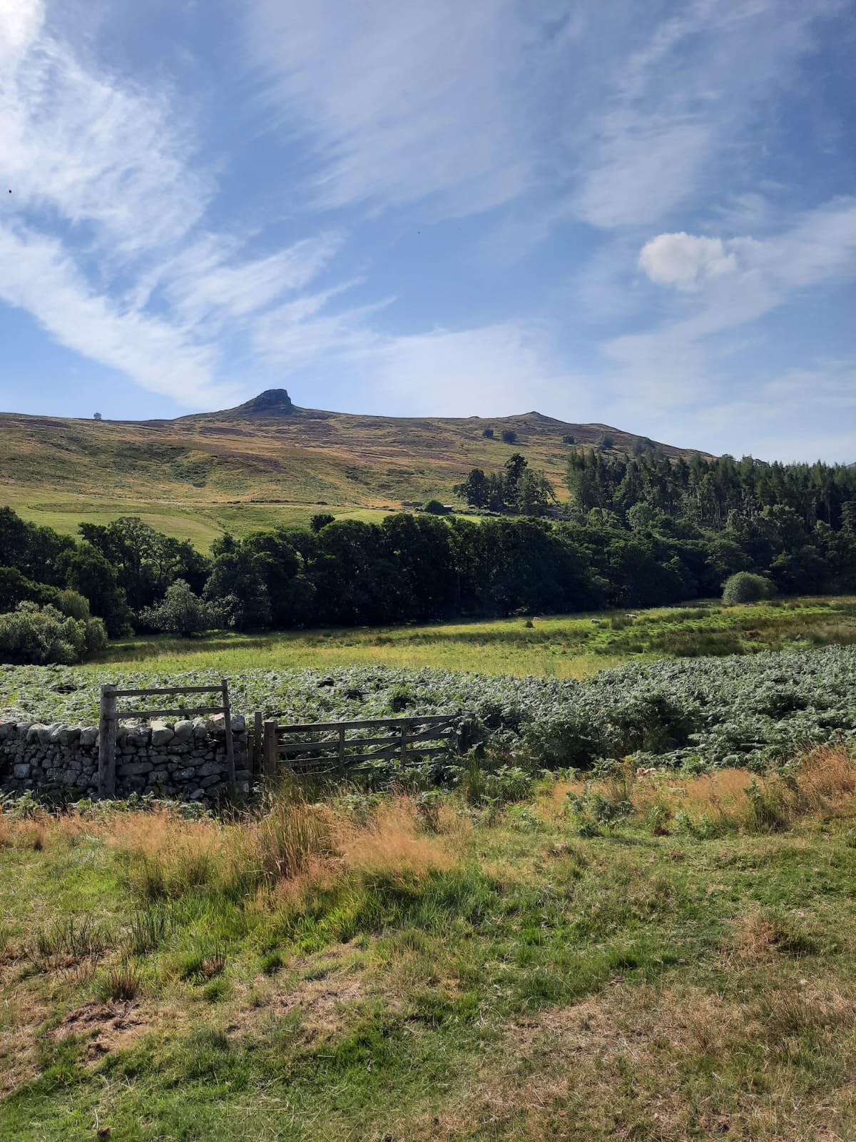 The Highest Mountain in Northumberland: The Cheviot | Walking Route ...